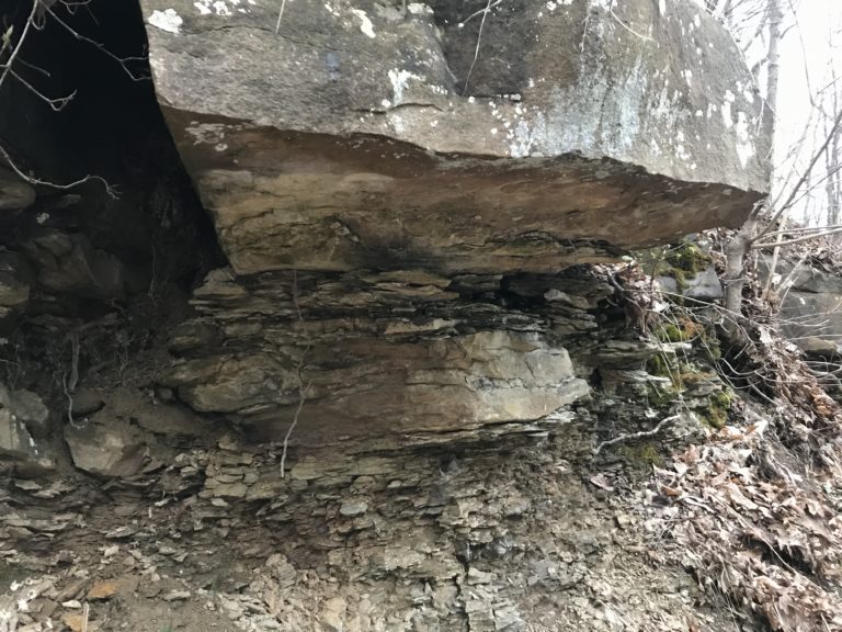 Glenshaw Formation, a Geologic Type Section - Fossils of Parks Township
