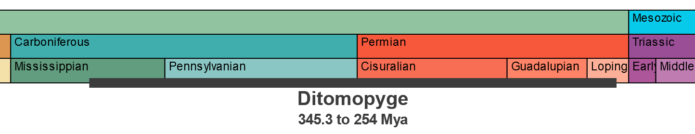 Late Pennsylvanian Trilobites - Fossils of Parks Township